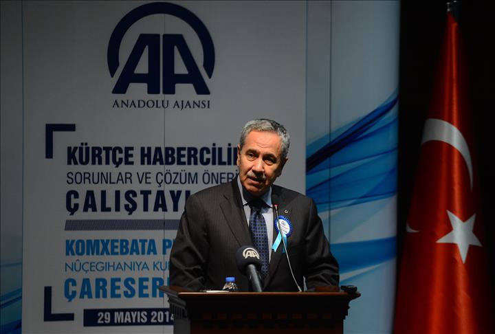 Turkey to lead peaceful Kurdish journalism: Deputy PM