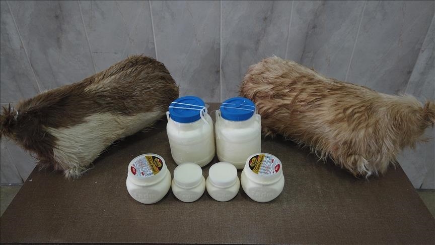 Türkiye : Le voyage du fromage Tulum d'Erzincan "des hauts plateaux à ...