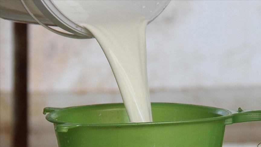 Türkiye collected 10.2M tons of cow milk in 2023