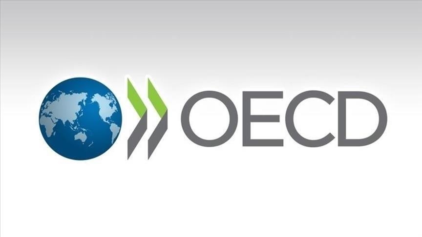 Governments, firms worldwide borrow $25T in 2024: OECD report
