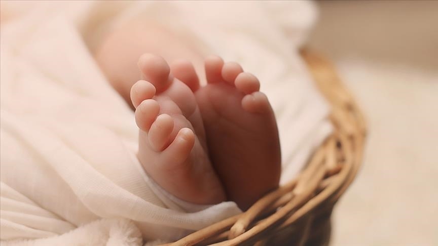 Over 180,000 premature deaths linked to air pollution in EU in 2023 ...