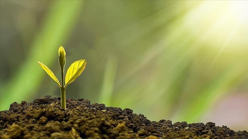 Türkiye adopts carbon trading amid US tariffs, shifting EU climate ...