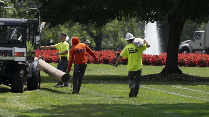 White House lawn being transformed into mixed martial arts arena for ...