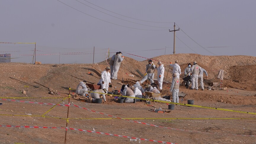 Polish investigators begin new search for World War II mass graves in ...