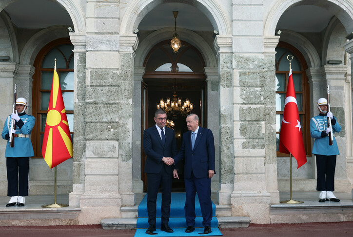 Le président turc reçoit le Premier ministre nord-macédonien à Istanbul