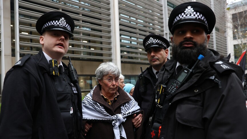 UK government wins Palestine Action appeal after court overturns ruling ...
