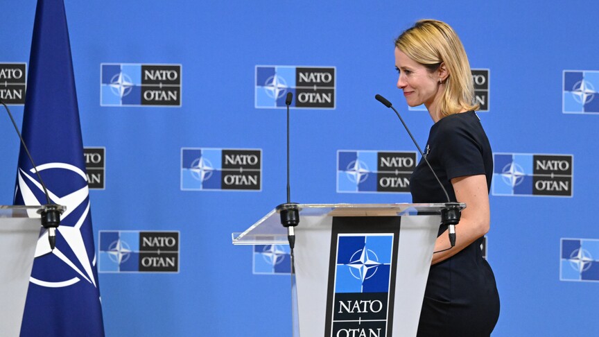 NATO remains 'cornerstone' of collective defense: EU foreign policy chief