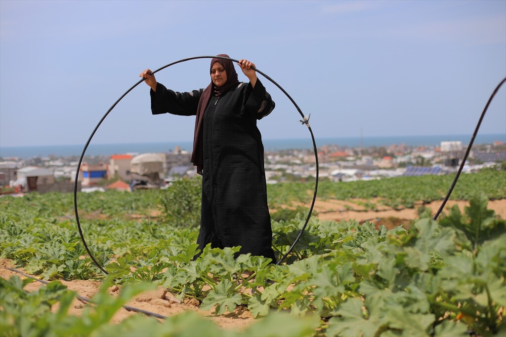 Palestinian woman keeps farming despite destruction of family land in ...