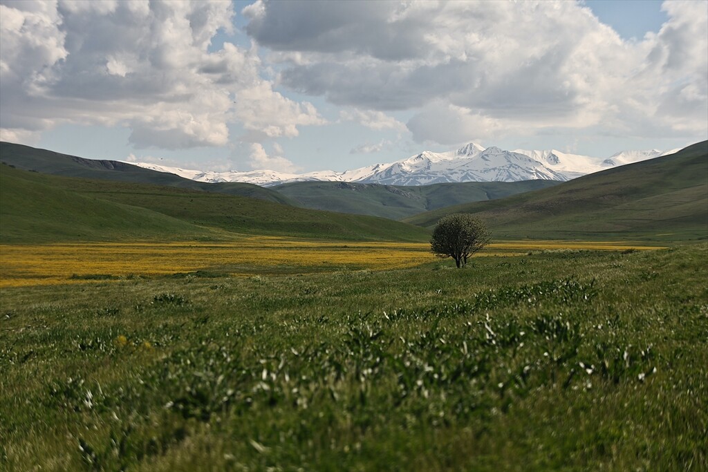 Bayburt'un yüksek rakımlı köylerinde bahar renkleri
