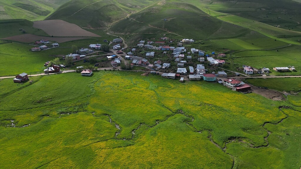 Bayburt'un yüksek rakımlı köylerinde bahar renkleri